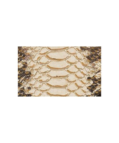 Brahmin（ブラーミン）の「Brahmin Veronica Python Embossed Leather Wallet（財布）」 - WEAR