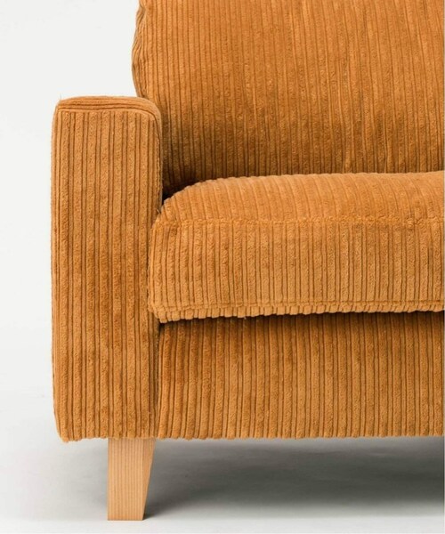 ACME FURNITURE（アクメファニチャー）の「《*予約》《大型商品》 JETTY feather SOFA 2.5P AC-07 ジェ ...