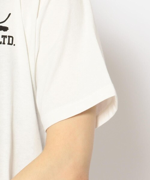 AVIREX（アヴィレックス）の「【WEB&DEPOT限定】AVG クルーネック Tシャツ/AVG CREW NECK T-SHIRT ...