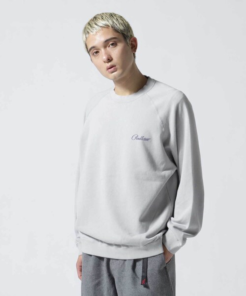 BEAVER（ビーバー）の「PENDLETON/ペンドルトン Raglan Back Print Sweat Pullover ラグランバックプリントスウェットプルオー（その他）」 - WEAR