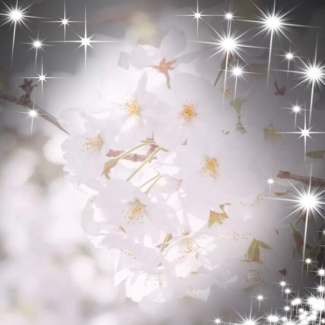 Sherry Lamのコーディネート一覧 - WEAR