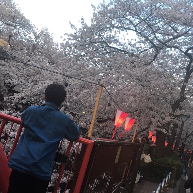 haruruのコーディネート一覧 - WEAR