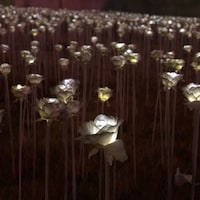 yulkのコーディネート一覧 - WEAR