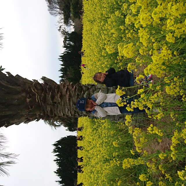 raikohoのコーディネート一覧 - WEAR